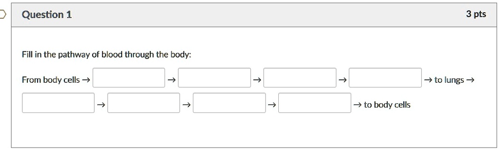 Question 1 3 pts Fill in the pathway of blood through the body: From ...