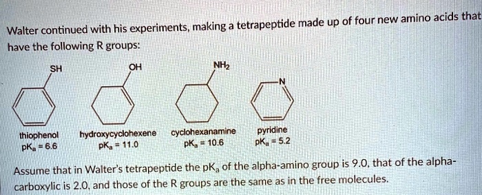 SOLVED: Tetrapeptide made up of four new amino acids that Walter ...