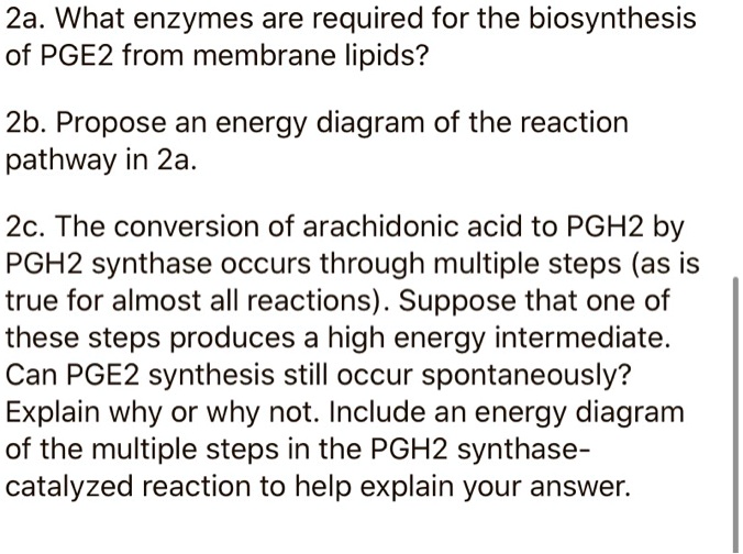 SOLVED: 2a. What enzymes are required for the biosynthesis of PGE2 from ...