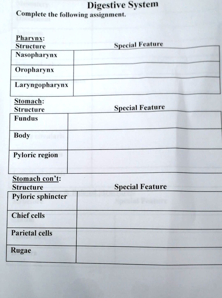 SOLVED: Digestive System Complete the following assignment. Pharynx: Structure Nasopharynx ...