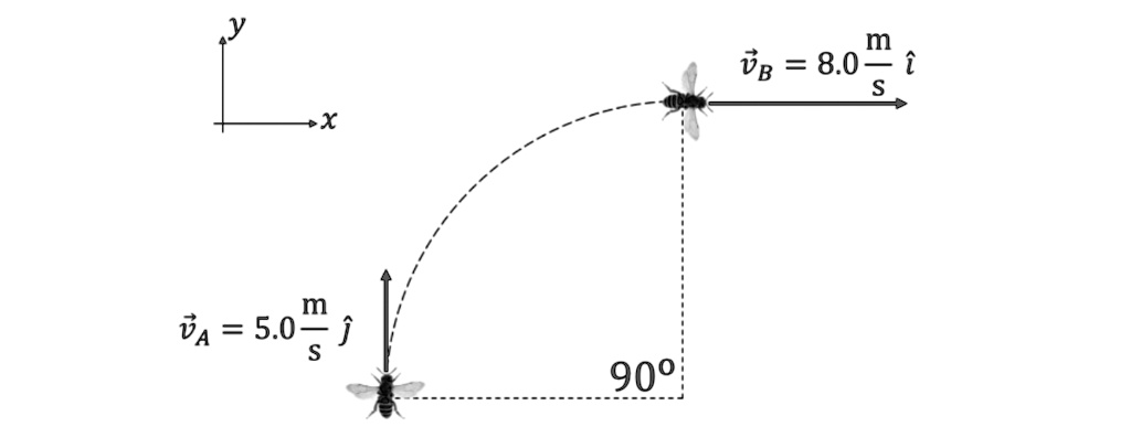 A bee is moving along a circular path from point A to point B, as shown ...