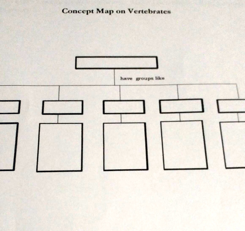 Concept Map on Vertebrates have groups like