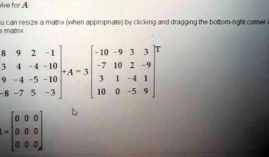 SOLVED: Ive for 4 U can resize a matrix (wien appropriate) by clicking ...