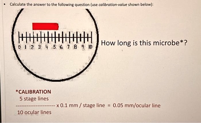 Calculate the answer to the following question (use calibration-value shown below) How long is ...