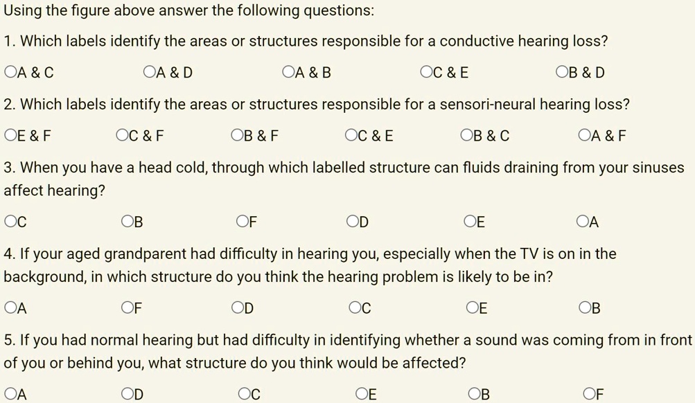 SOLVED: Using the figure above answer the following questions: 1. Which ...