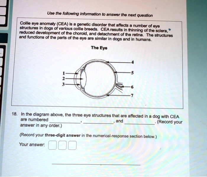 use the following information to answer the next queston collie eye ...