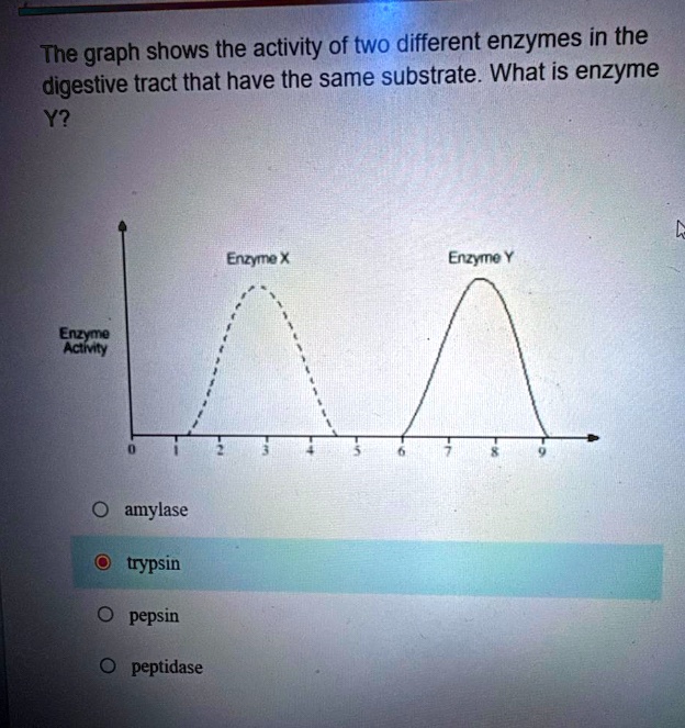 the graph shows the activity of two different enzymes in the digestive tract that have the same ...