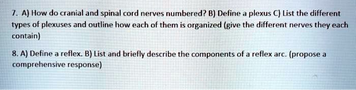 7. A) How do cranial and spinal cord nerves numbered? B) Define a ...