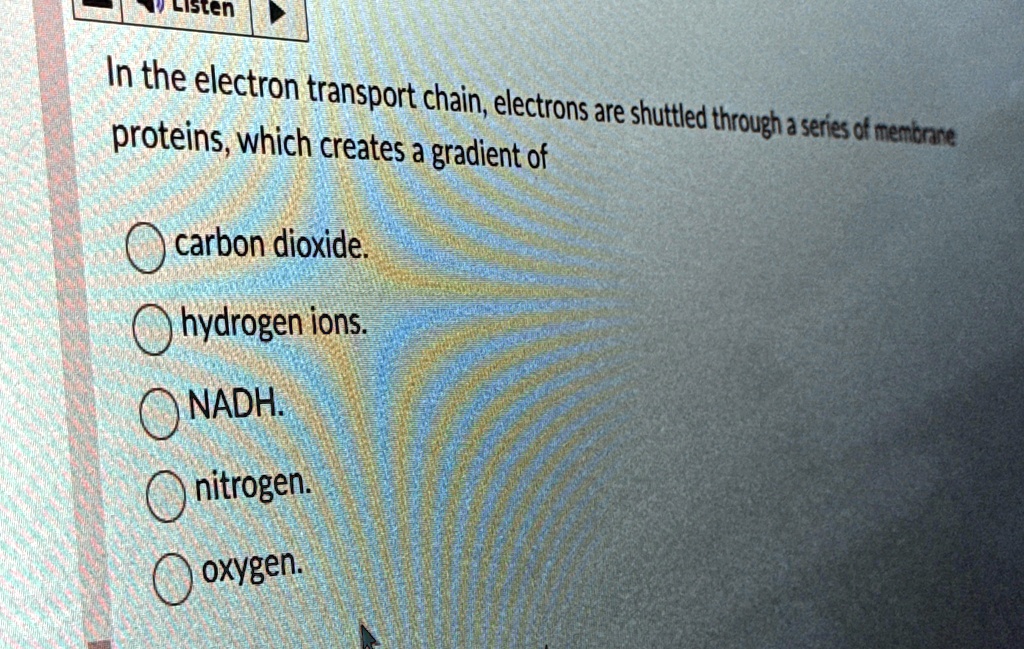 in the electron transport chain electrons are shuttled through a series ...