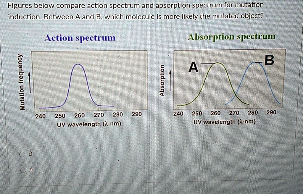 SOLVED: Figures below compare action spectrum and absorption spectrum ...