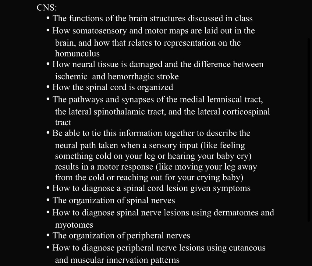 cns the functions of the brain structures discussed in class how ...