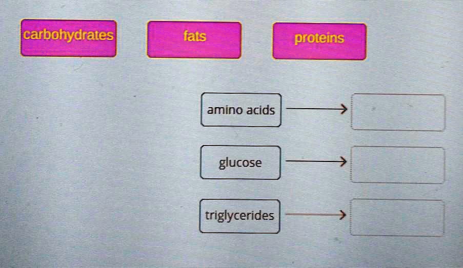 SOLVED: Drag the tiles to the correct boxes to complete the pairs ...
