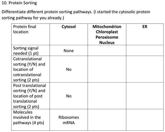 VIDEO solution: 10. Protein Sorting Differentiate different protein ...