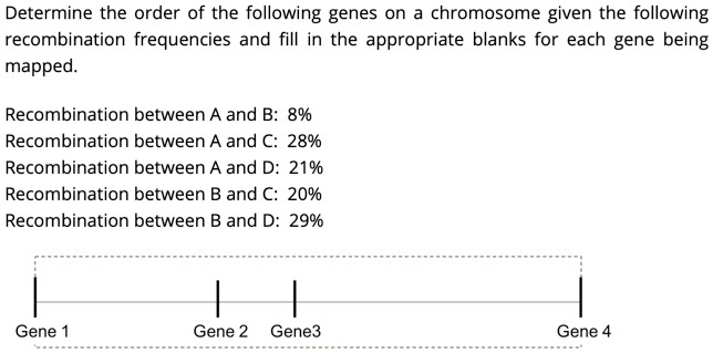 SOLVED: Determine the order of the following genes on a chromosome ...