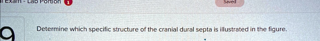 determine which specific structure of the cranial dural septa is ...