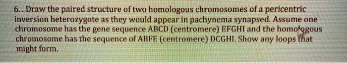 SOLVED: Draw the paired structure of two homologous chromosomes of a ...