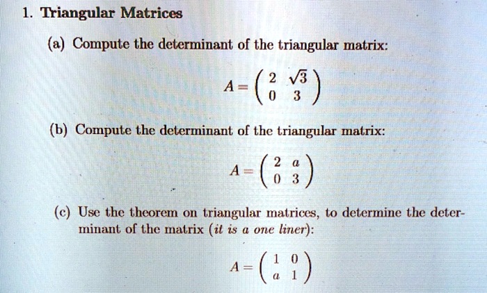 Solved Triangular Matrices A Compute The Determinant Of The Triangular Matrix V3 A B