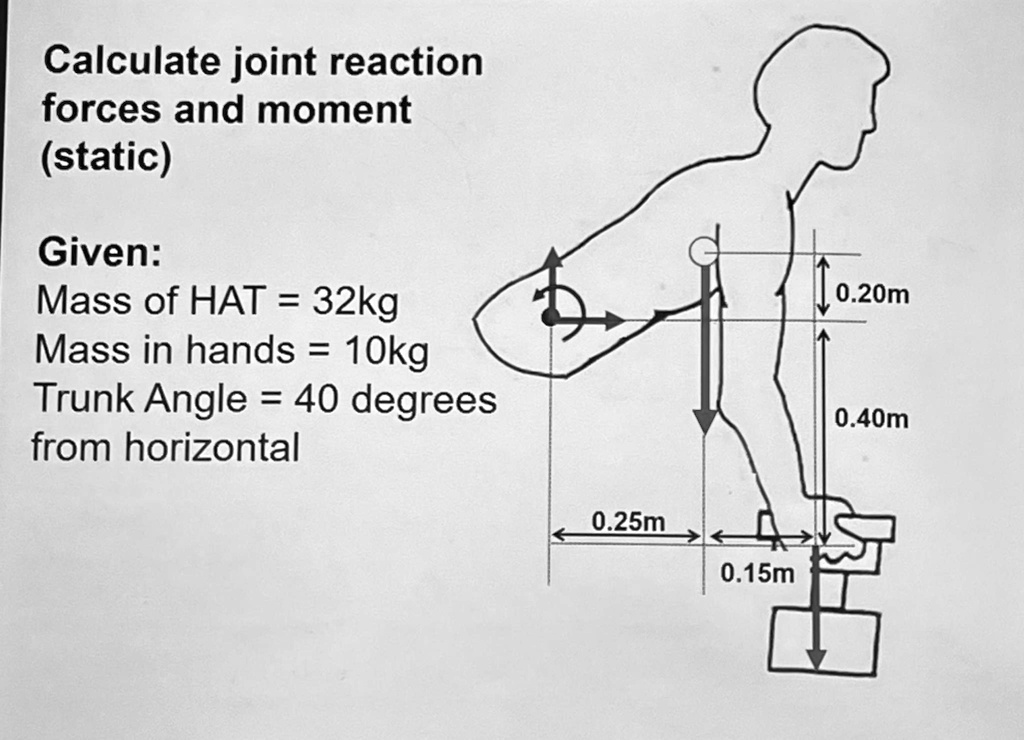 SOLVED: Calculate joint reaction forces and moment (static) Given: Mass ...