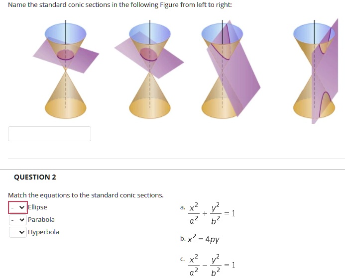 SOLVED: Name the standard conic sections in the following Figure from ...