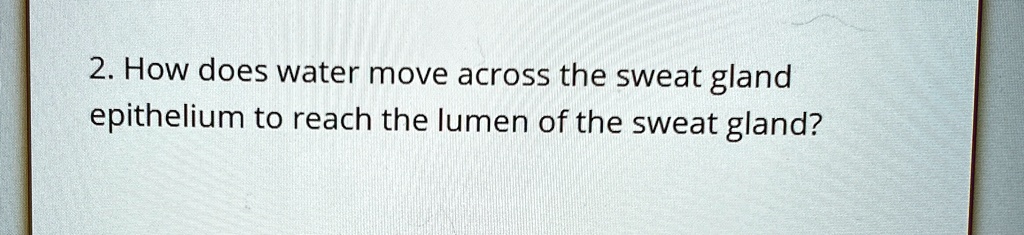 2. How does water move across the sweat gland epithelium to reach the ...