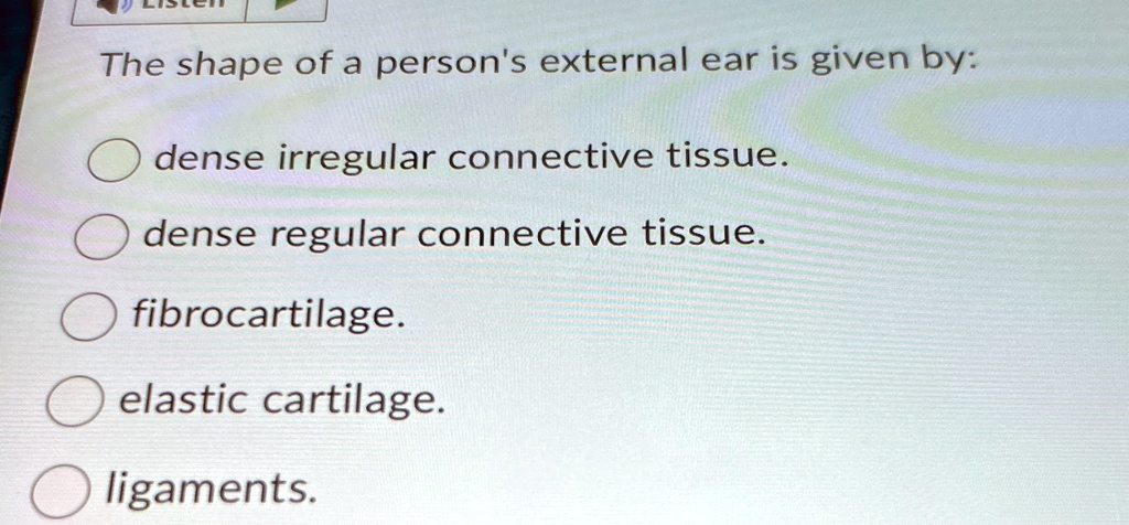 The shape of a person's external ear is given by: dense irregular ...