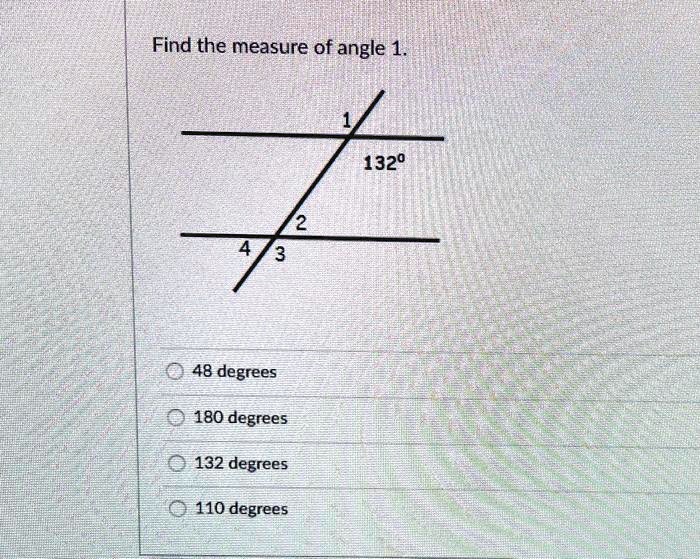 SOLVED: Find the measure of angle 1 1320 48 degrees 180 degrees 132 ...