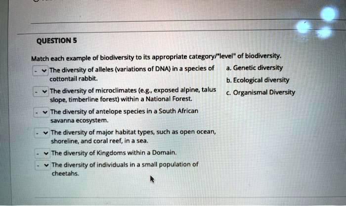 iquestion 5 match each example of biodiversity to its appropriate ...