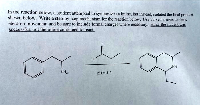 in the reaction below student attempted to synthesize an imine but instead isolated the final ...