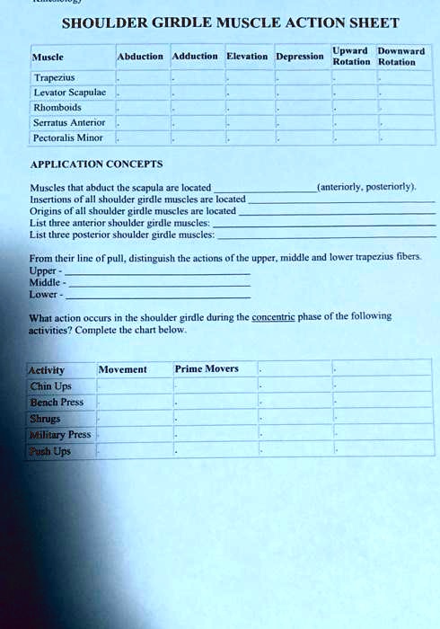 SOLVED: SHOULDER GIRDLE MUSCLE ACTION SHEET Muscle Upward Downward ...