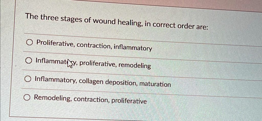 SOLVED: The three stages of wound healing, in correct order are ...