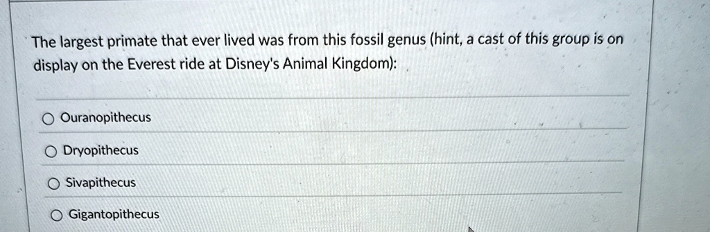 The largest primate that ever lived was from this fossil genus (hint, a ...