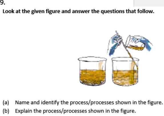look at the picture and answera name and identify the process processes ...