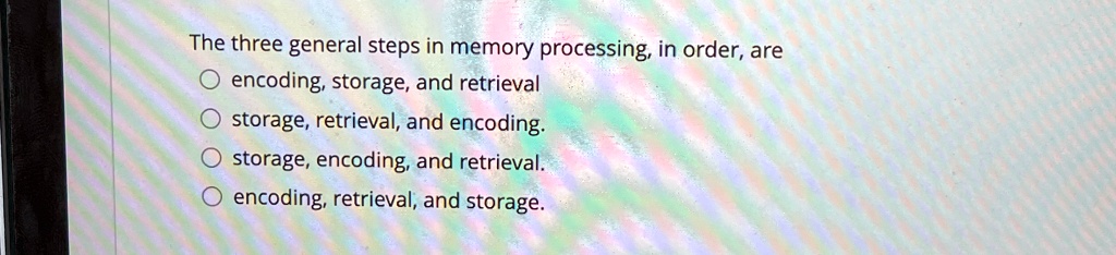 the three general steps in memory processing in order are encoding ...
