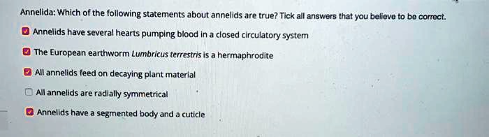 SOLVED: Annelida: Which of the following statements about annelids are ...