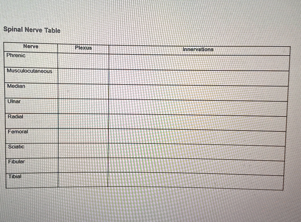 Spinal Nerve Table Nerve Phrenic Musculocutaneous Median Ulnar Radial ...