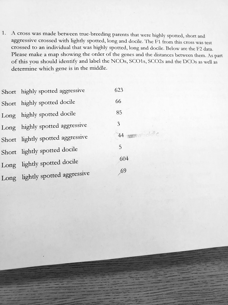 SOLVED: cross was made between true breeding parenrs that were highly ...