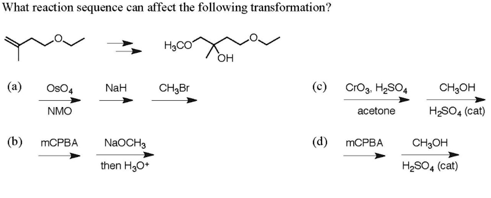 Cat Transformation Sequence