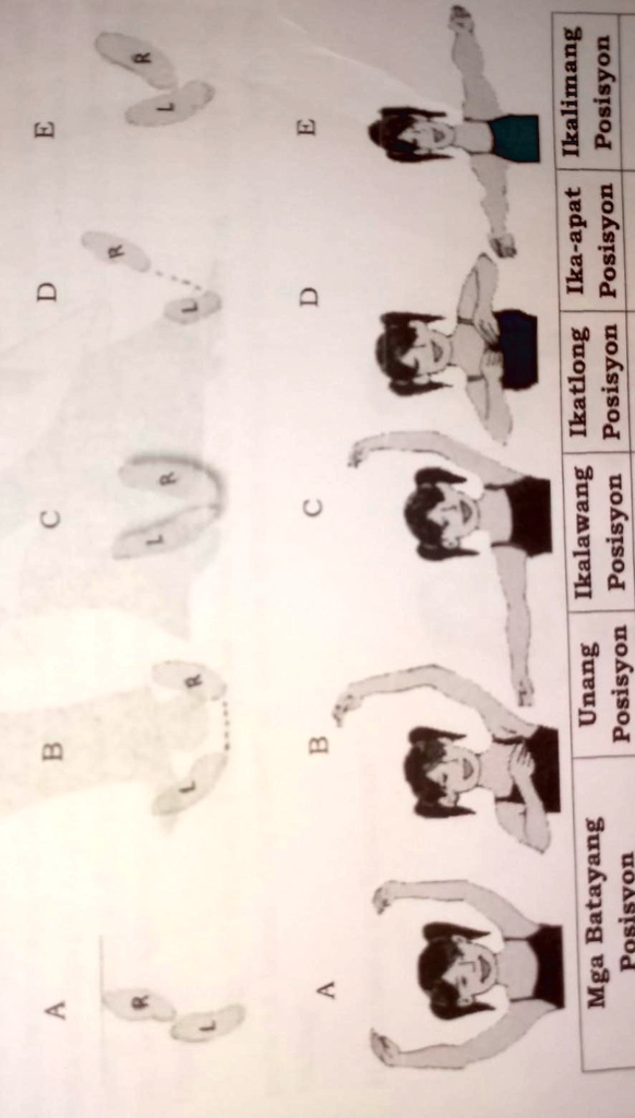 SOLVED: Ang ganda ng sayaw ay nagsisimula sa pag-aaral ng mga pangunahing hakbangpansayaw. Ito ...