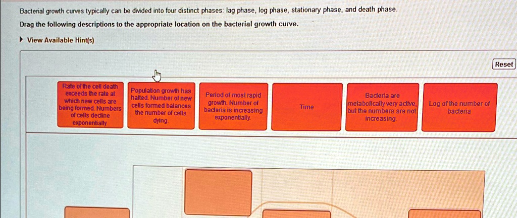 Bacterial growth curves typically can be divided into four distinct ...