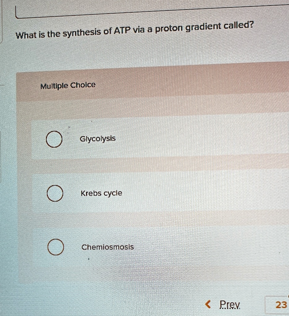 what is the synthesis of atp via a proton gradient called multiple choice glycolysis krebs cycle ...