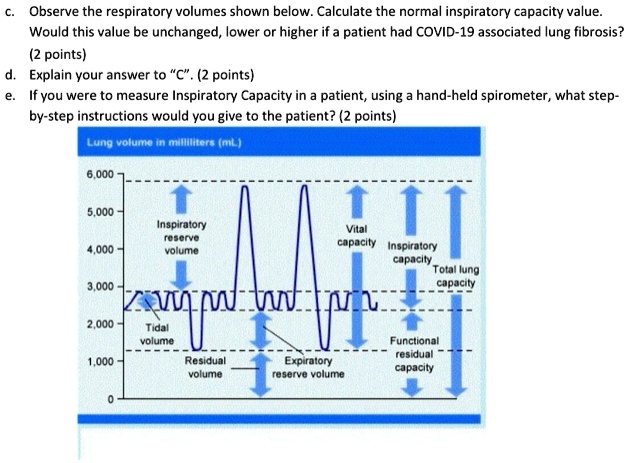 SOLVED: Observe the respiratory volumes shown below_ Calculate the ...