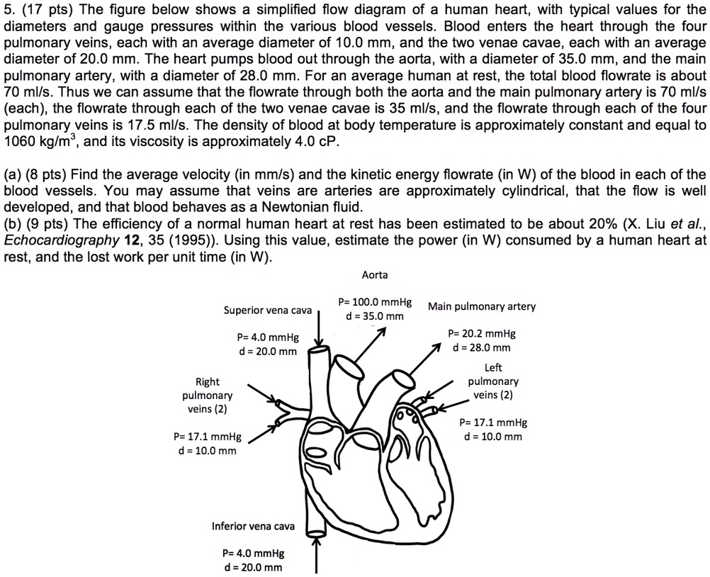 please explain in detail 5 17 pts the figure below shows a simplified ...