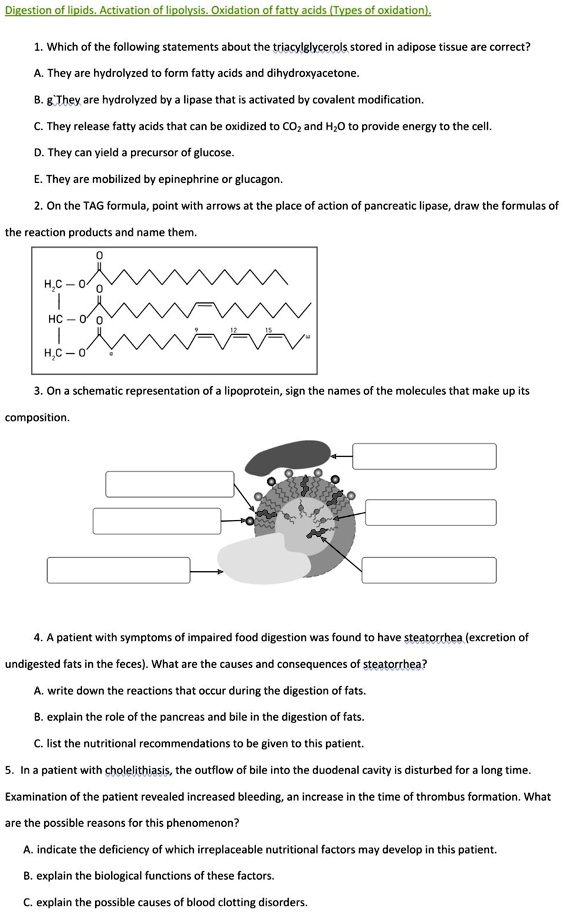 digestion of lipidsactivation of lipolysis oxidation of fathacids lypes ...