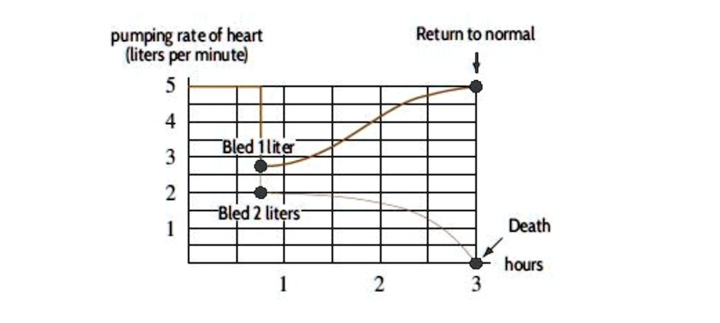 SOLVED: A healthy human heart pumps about 5 liters of blood per minute ...