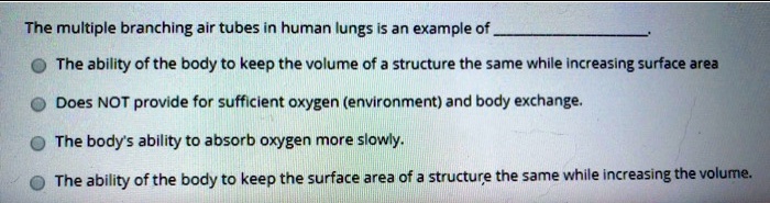 SOLVED: The multiple branching air tubes in human lungs is a example of ...