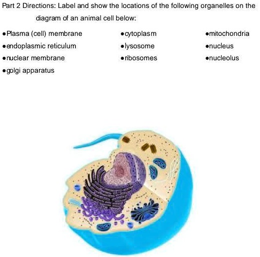 Part 2 Directions: Label and show the locations of the following ...