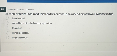 35 Multiple Choice 2 points Second-order neurons and third-order neurons in an ascending pathway ...