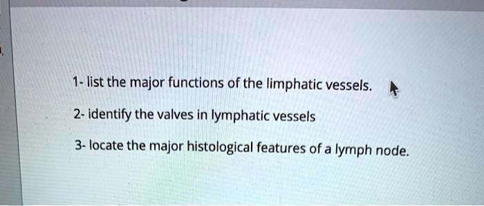SOLVED: 1- List the major functions of the lymphatic vessels. 2- Identify the valves in ...