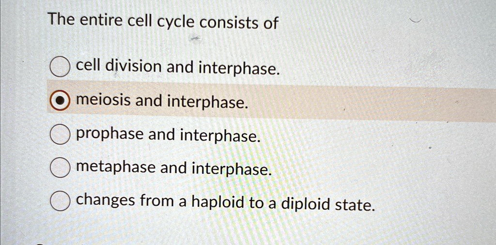 the entire cell cycle consists of cell division and interphase meiosis ...