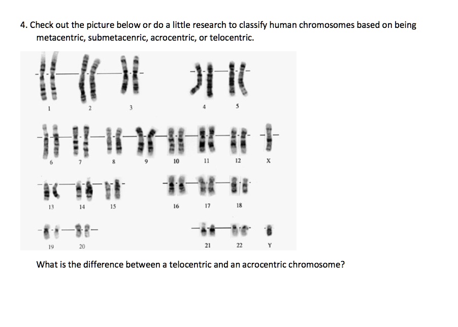 SOLVED:4. Check out the picture below or do a little research to ...